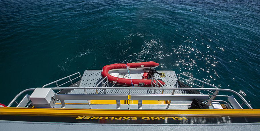 Explore - Full Day Snorkelling & Diving the Outer Great Barrier Reef ...